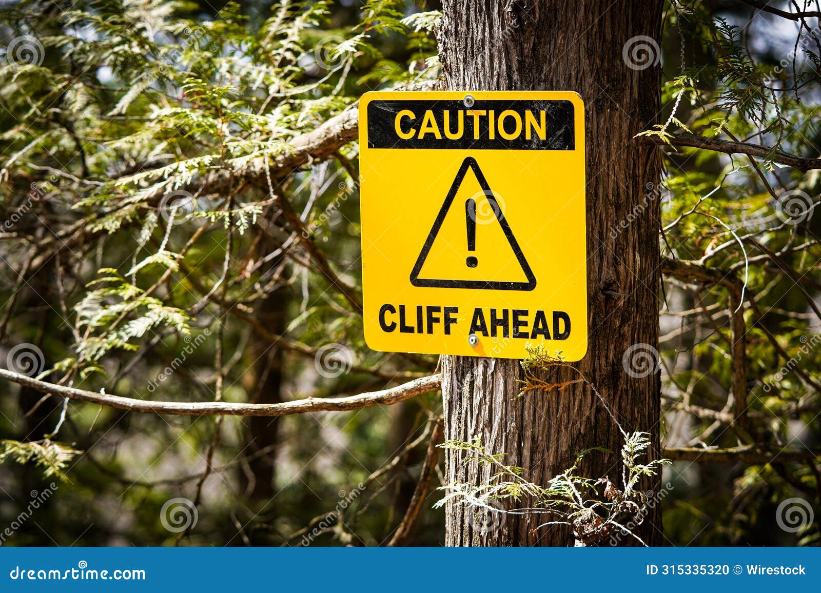 Caution Cliff Ahead Sign on Cedar Tree on a Forest Trail Stock Photo ...