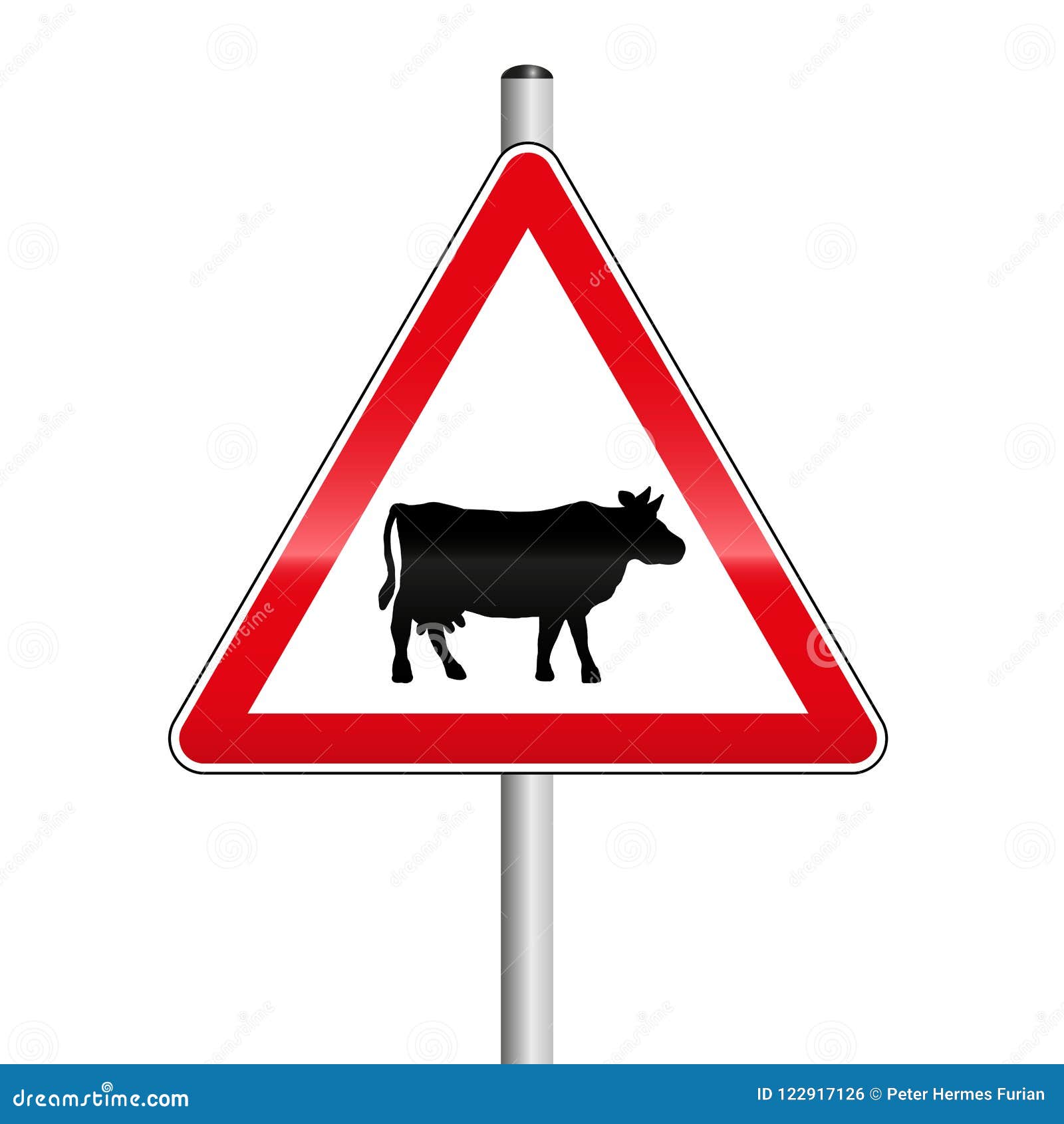 Caution Cow Cattle Herd Crossing Street Sign Stock Vector ... Caution Cow Cattle Herd Crossing Street Sign Stock Vector ...