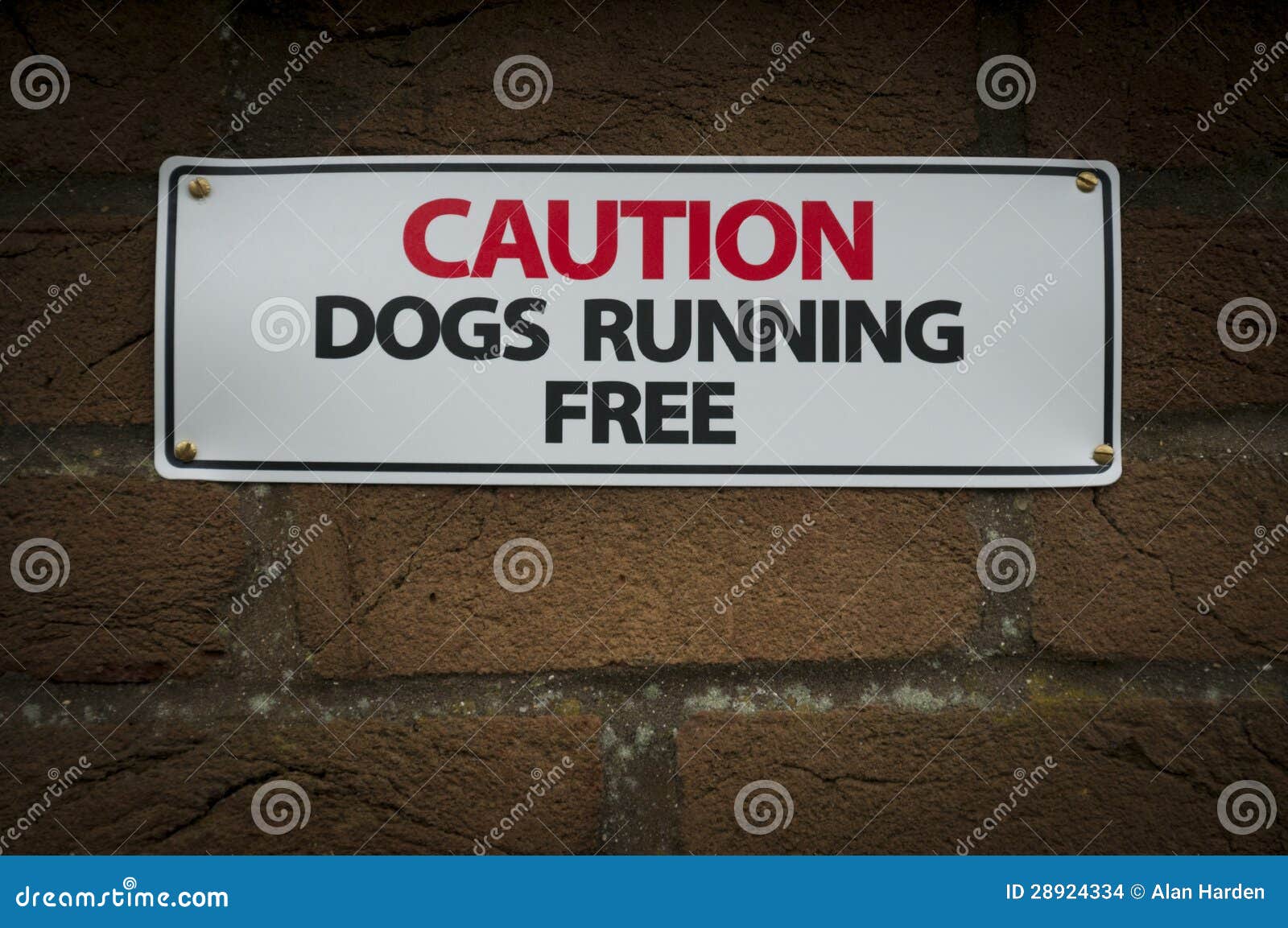 Caution Dogs Running Free Sign Stock Photo - Image of warning, danger ...