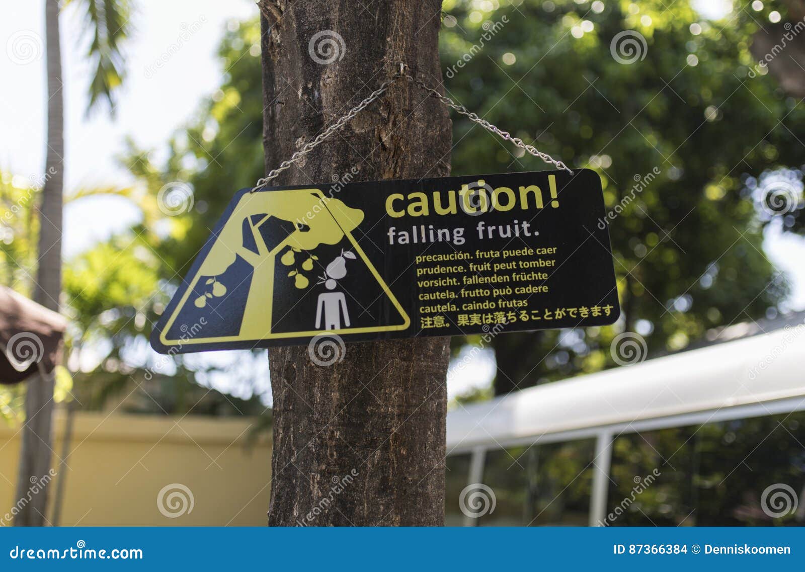Caution falling fruit stock photo. Image of signpost - 87366384