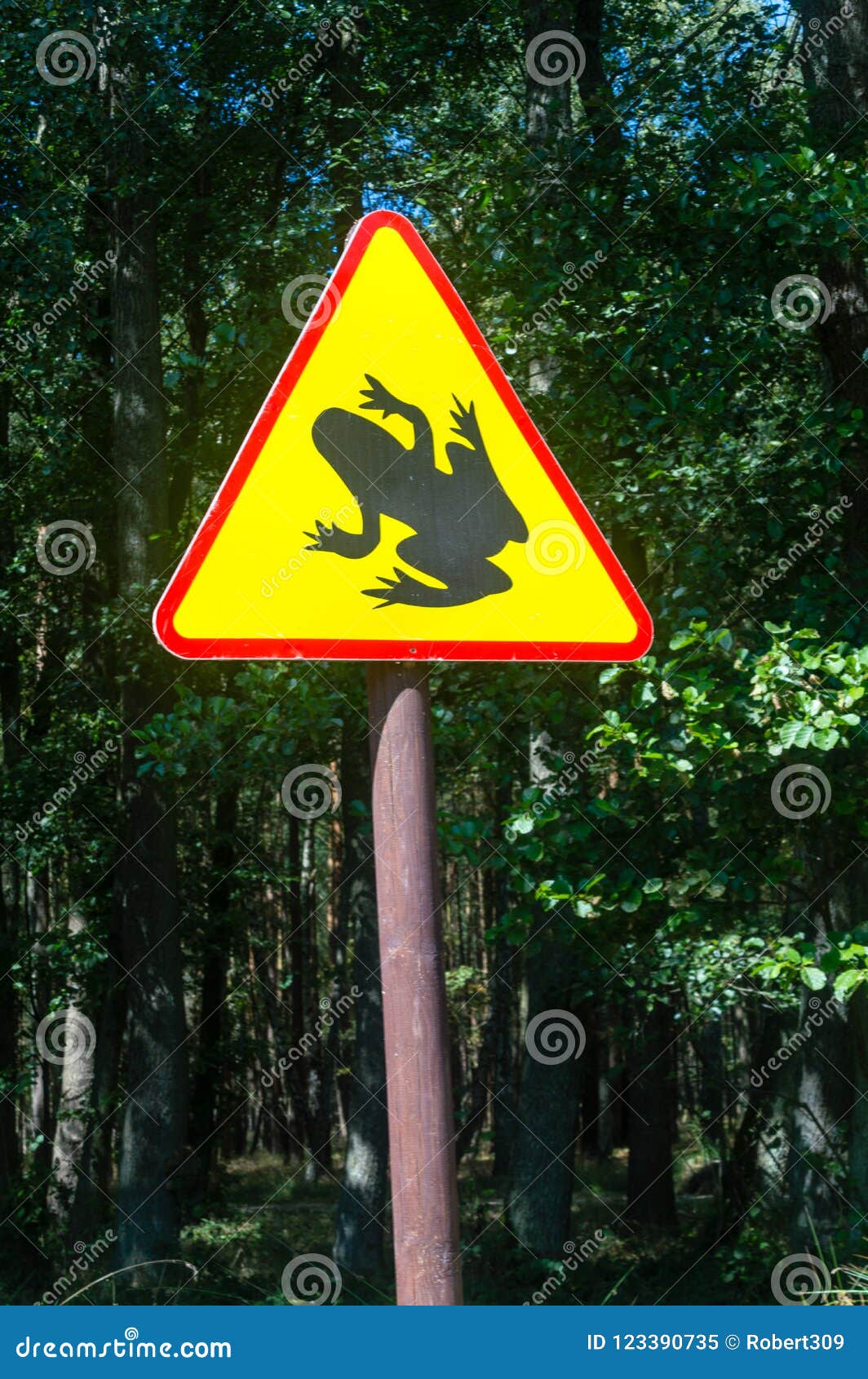 Caution Frog Sign in the Forest Stock Image - Image of frog, toads ...