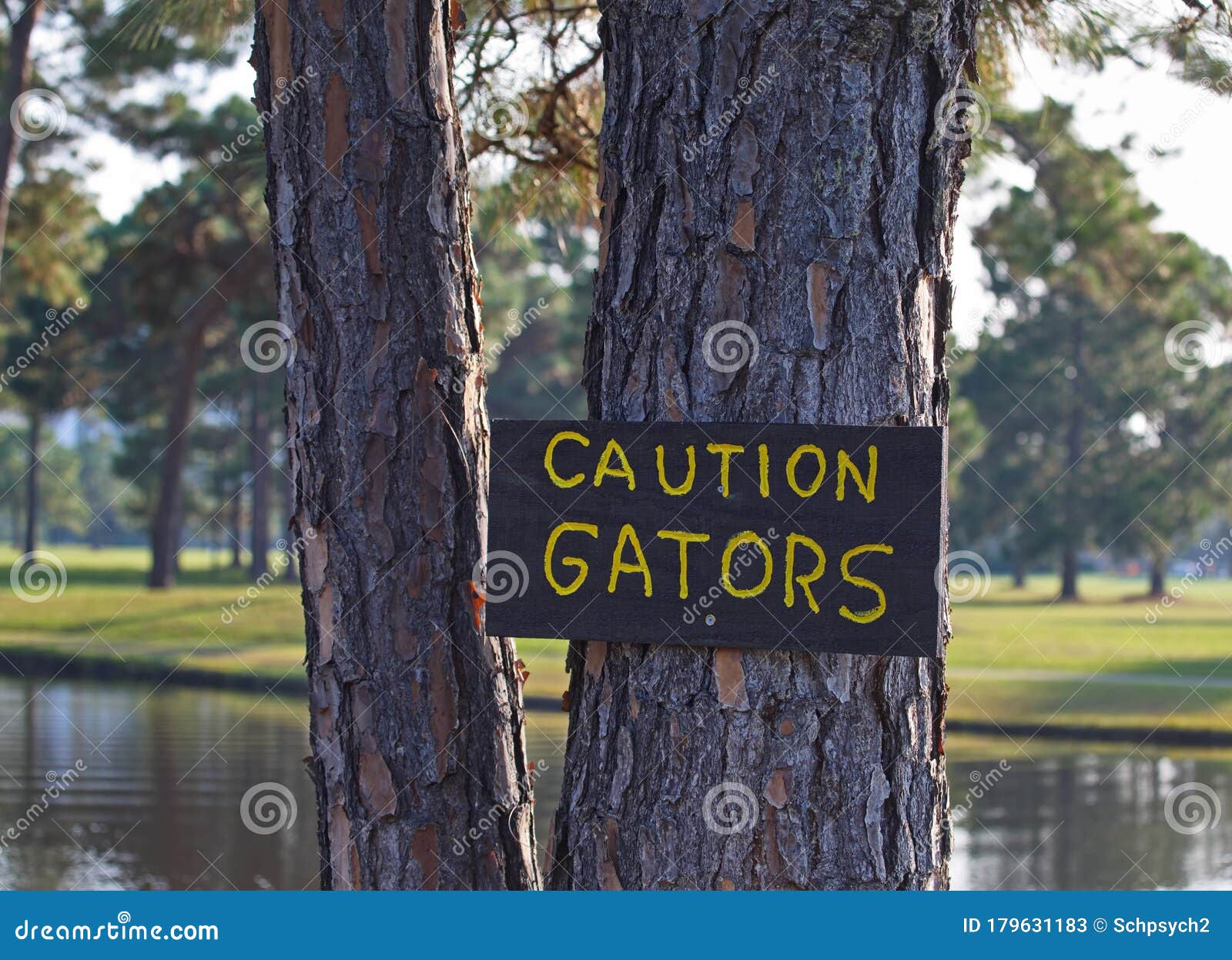 Caution Gators Handwritten Sign on a Tree Stock Image - Image of sign ...