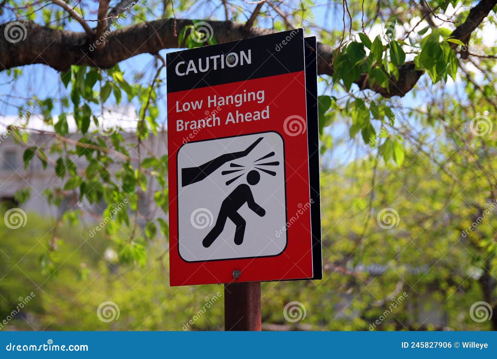 Caution, Low Hanging Branch Ahead Red and White Sign with Icon ...