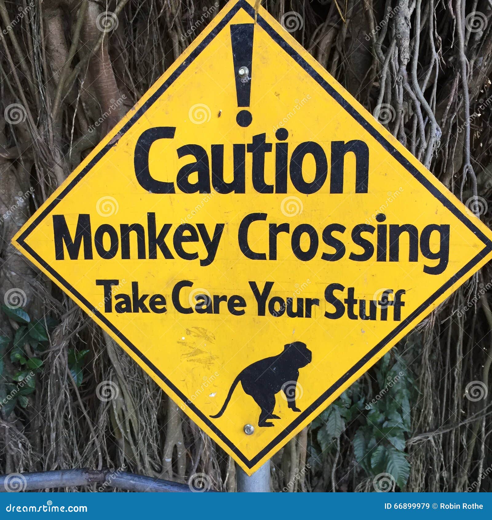 Caution monkey crossing stock image. Image of road, warning - 66899979