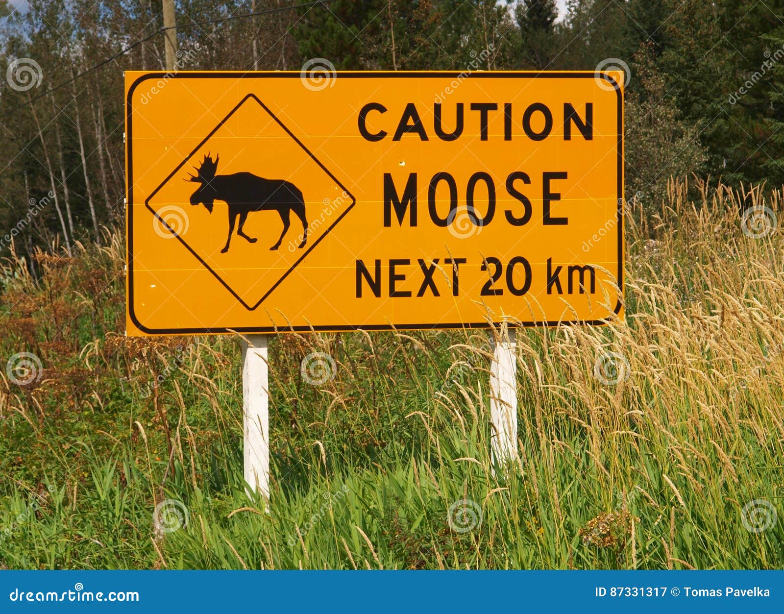 Caution moose sign stock image. Image of traffic, symbol - 87331317