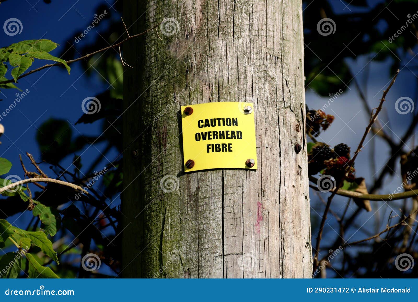 Caution Overhead Fibre Sign on a Timber Pole Stock Photo - Image of ...