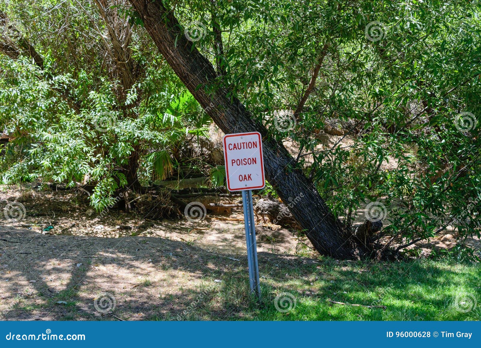 Caution poison oak warning stock photo. Image of exit - 96000628