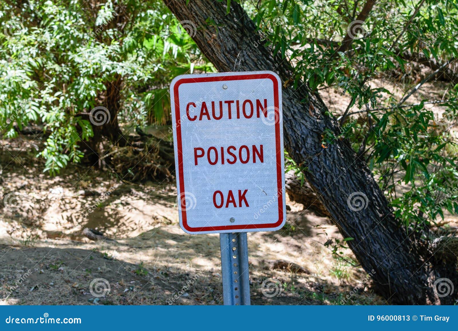 Caution Poison Oak Warning Sign Stock Image - Image of trespassing ...