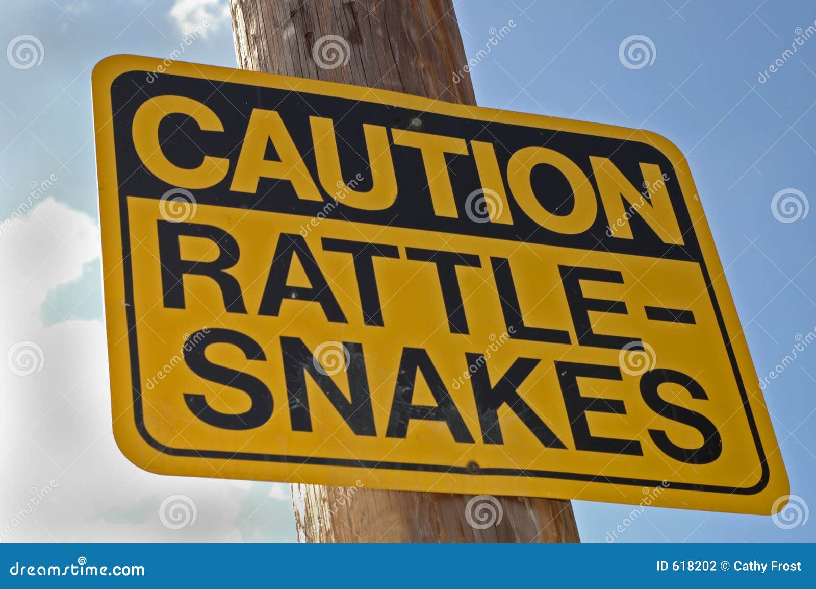 Caution: Rattle-Snakes stock photo. Image of words, southern - 618202