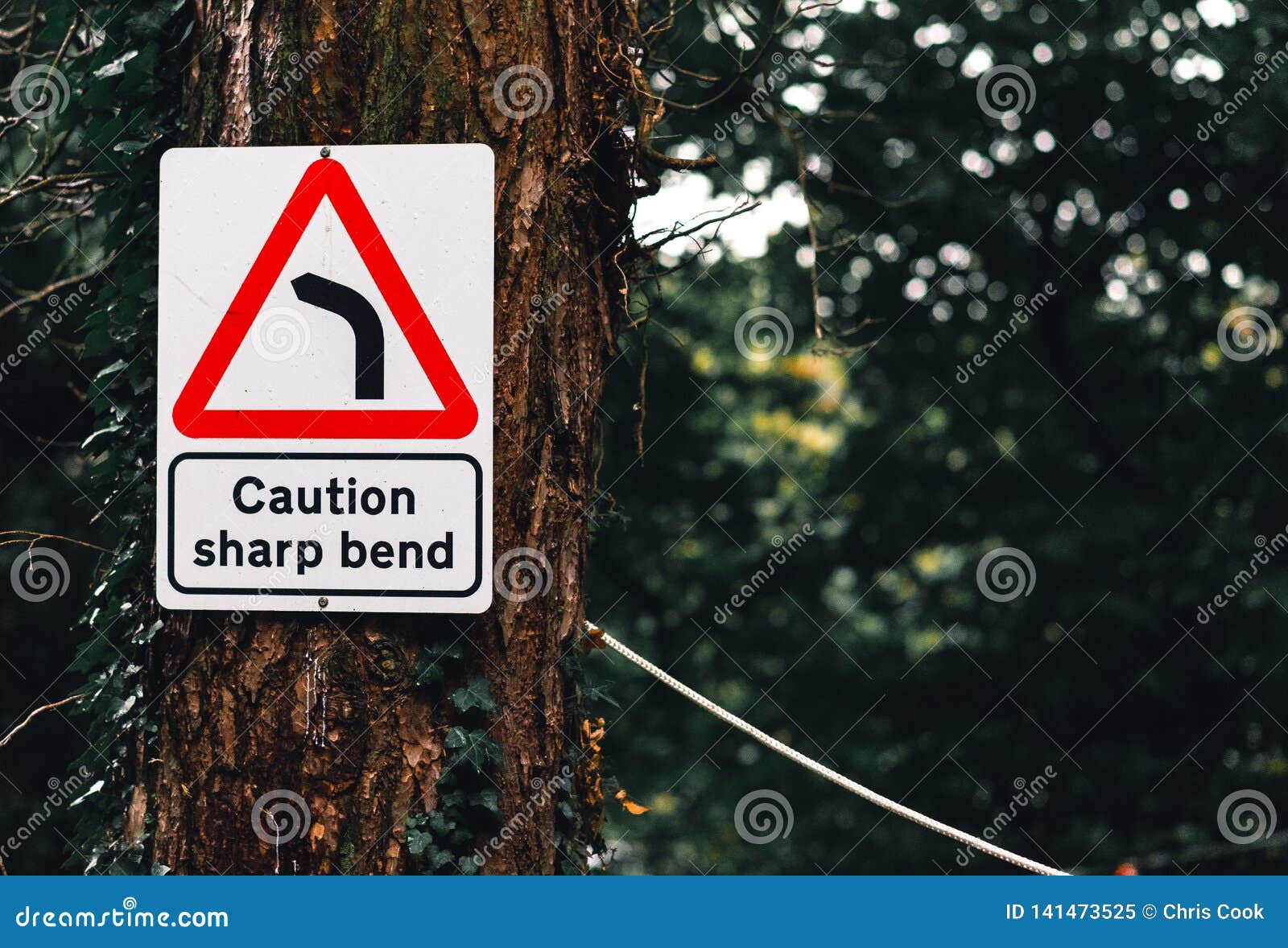 A `Caution Sharp Bend` Sign Hung Up on a Tree in the UK in a Forest ...