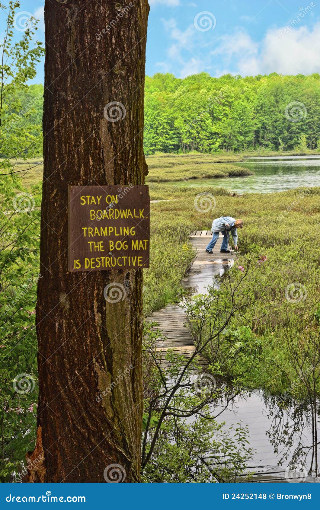 Caution Sign at Bog stock photo. Image of nature, summer - 24252148