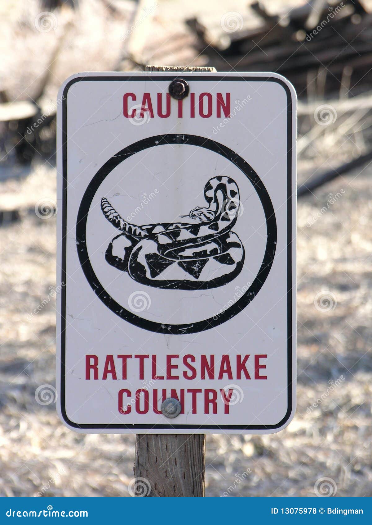 Caution Sign - Rattlesnake Country Stock Photo - Image of western, sign ...