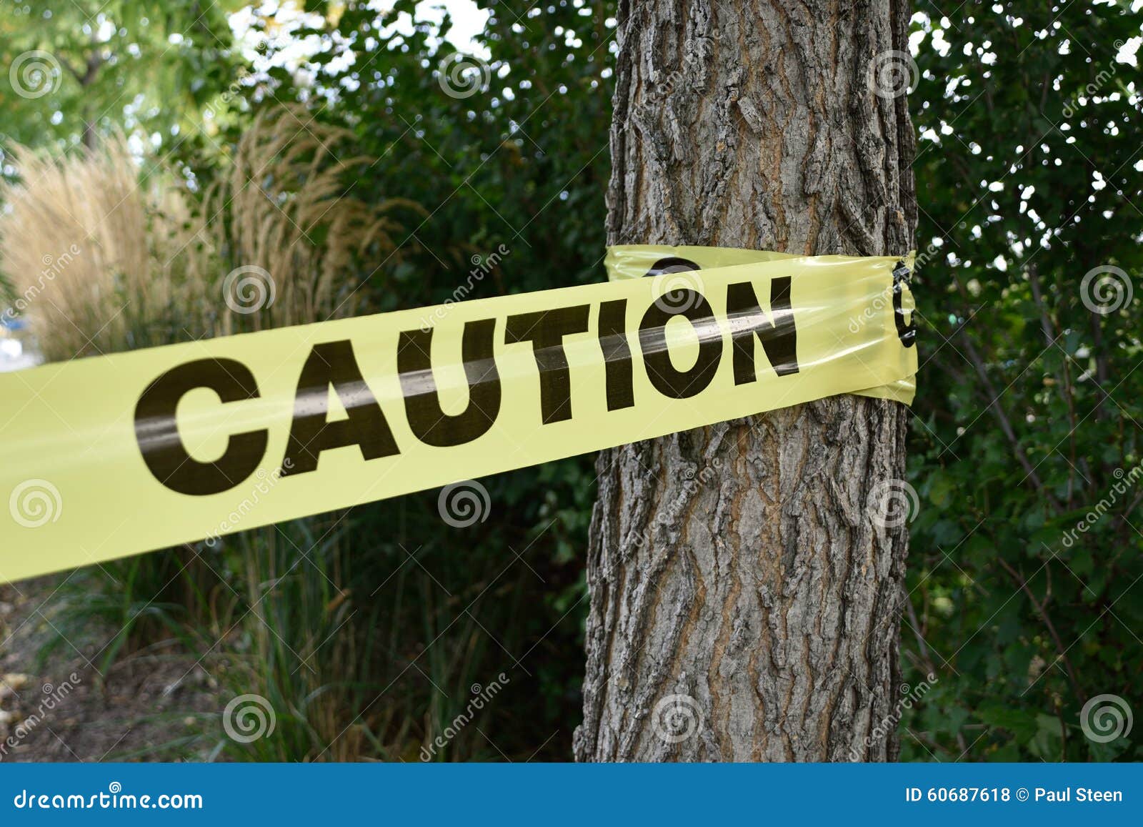Caution sign stock photo. Image of nature, sign, danger - 60687618