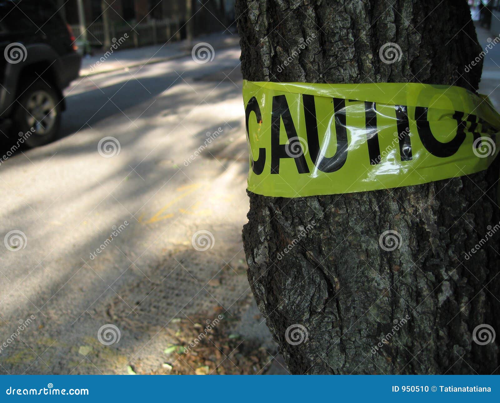 Caution sign on tree stock photo. Image of verge, alert - 950510