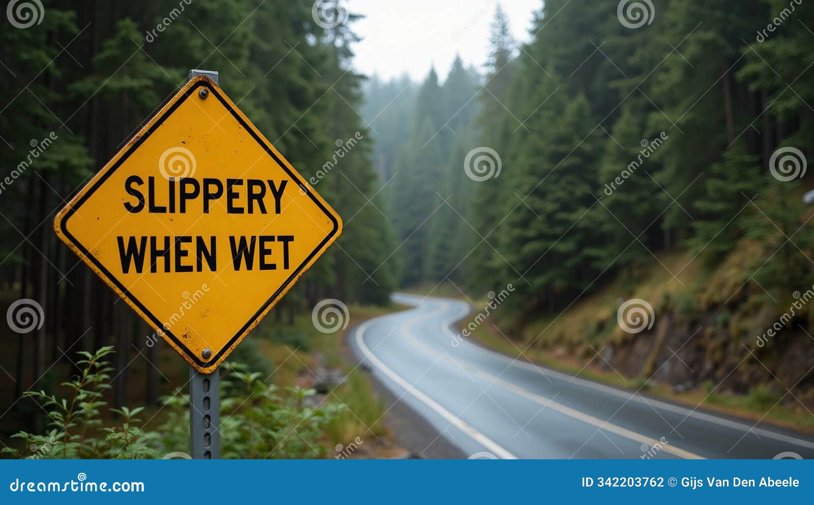Caution SLIPPERY when WET Road Sign in Forest Stock Illustration ...