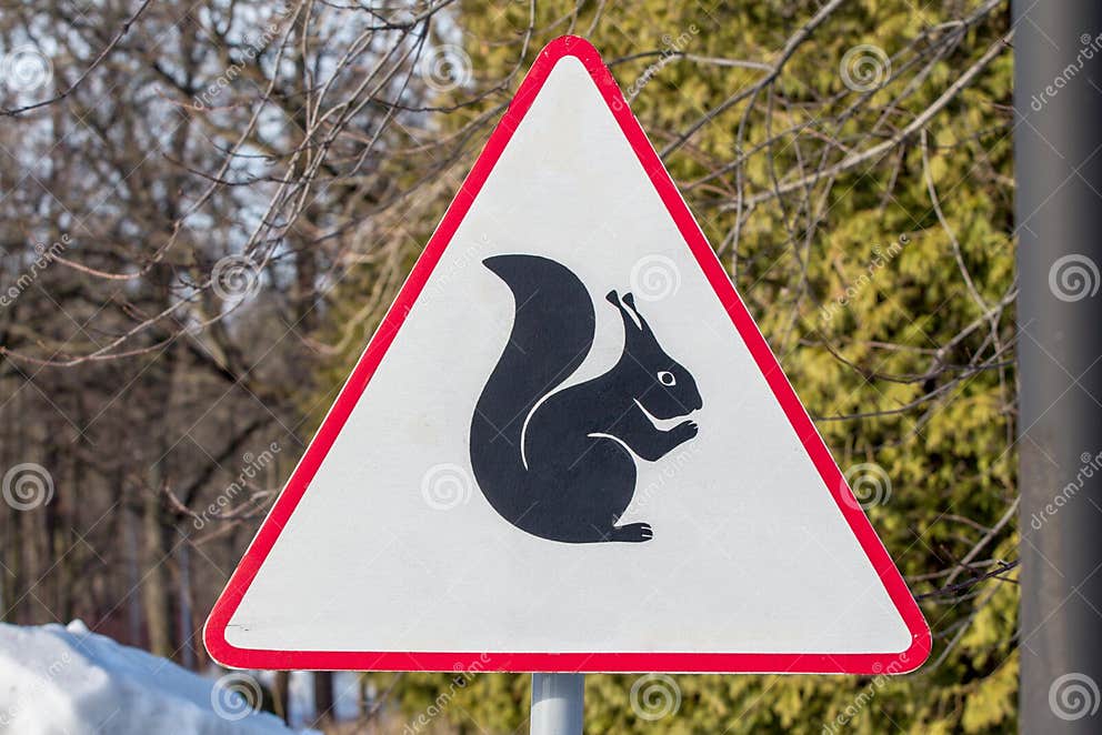 Caution Squirrels - Warning Road Sign in the Park Stock Image - Image ...