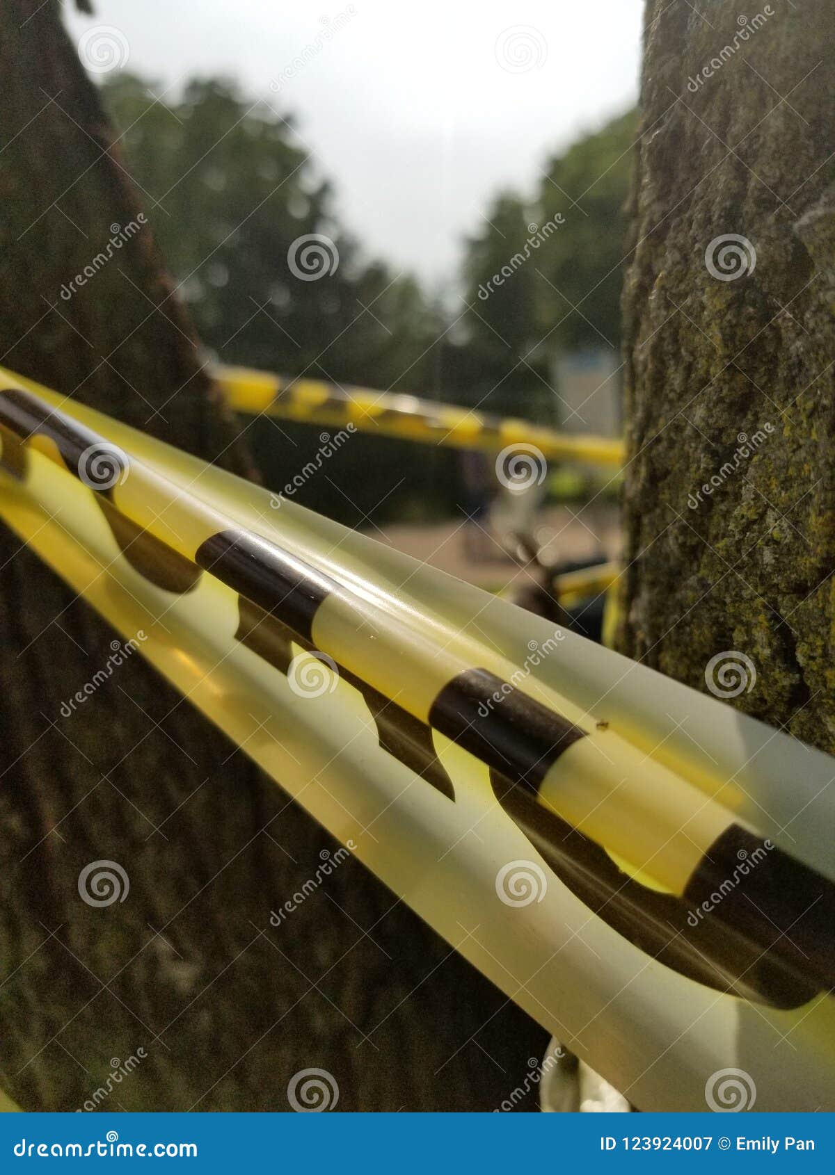Caution Tape stock image. Image of tree, tape, cause - 123924007