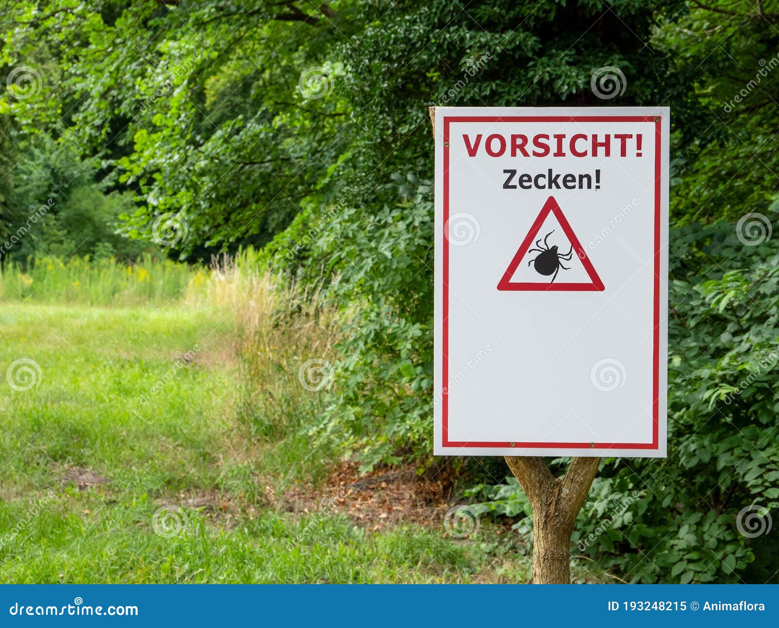Caution Tick Sign in German Stock Image - Image of growing, kids: 193248215