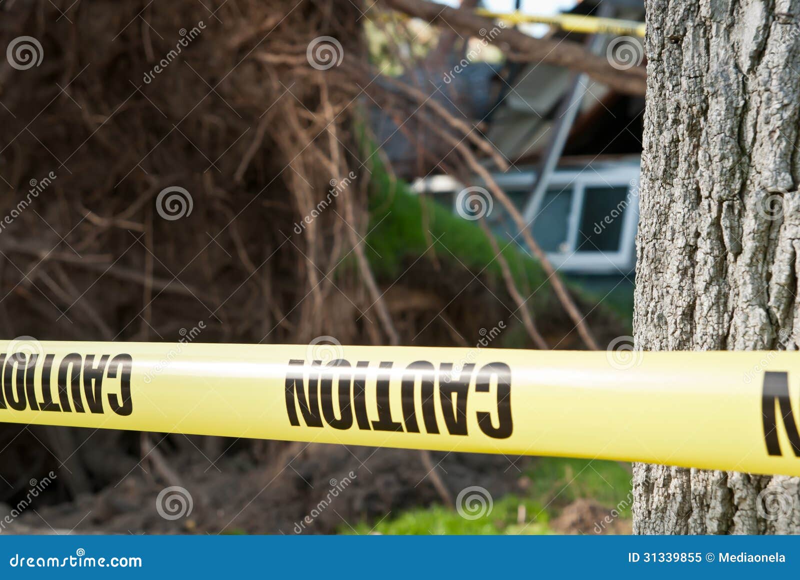 Caution Tree Crash Danger Zone Stock Image - Image of restrict ...