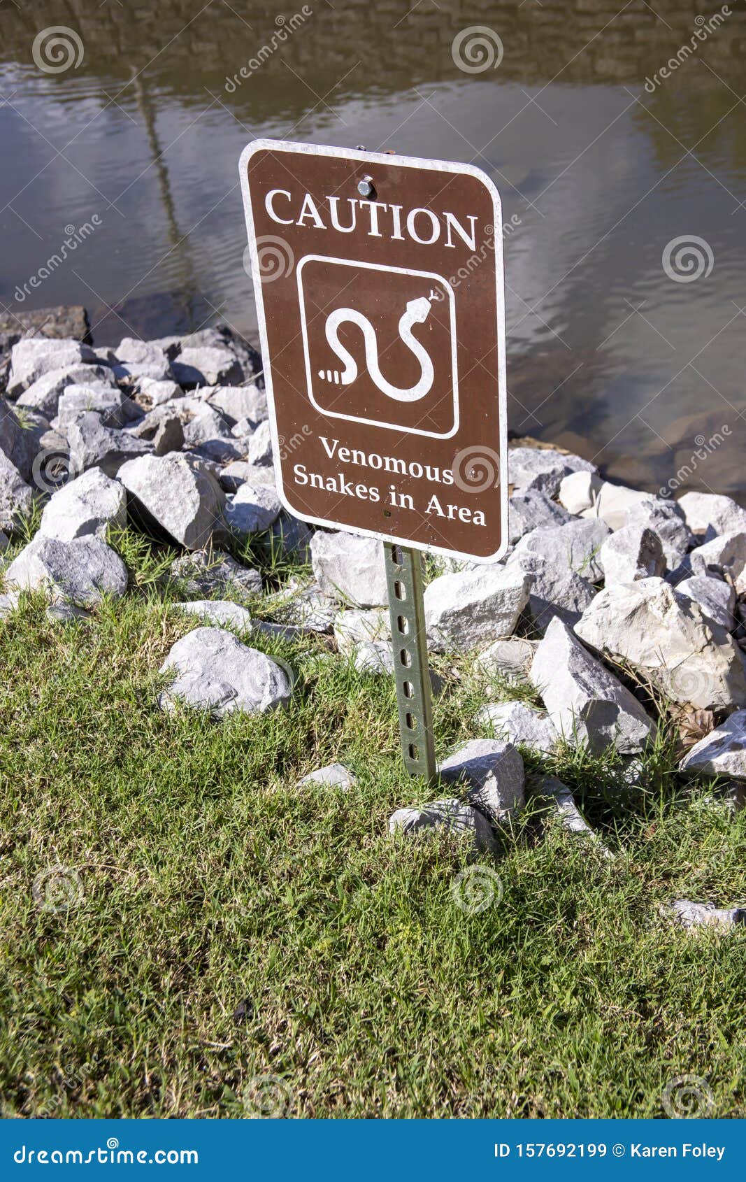 Caution Venomous Snakes Sign Stock Image - Image of stream, posted ...