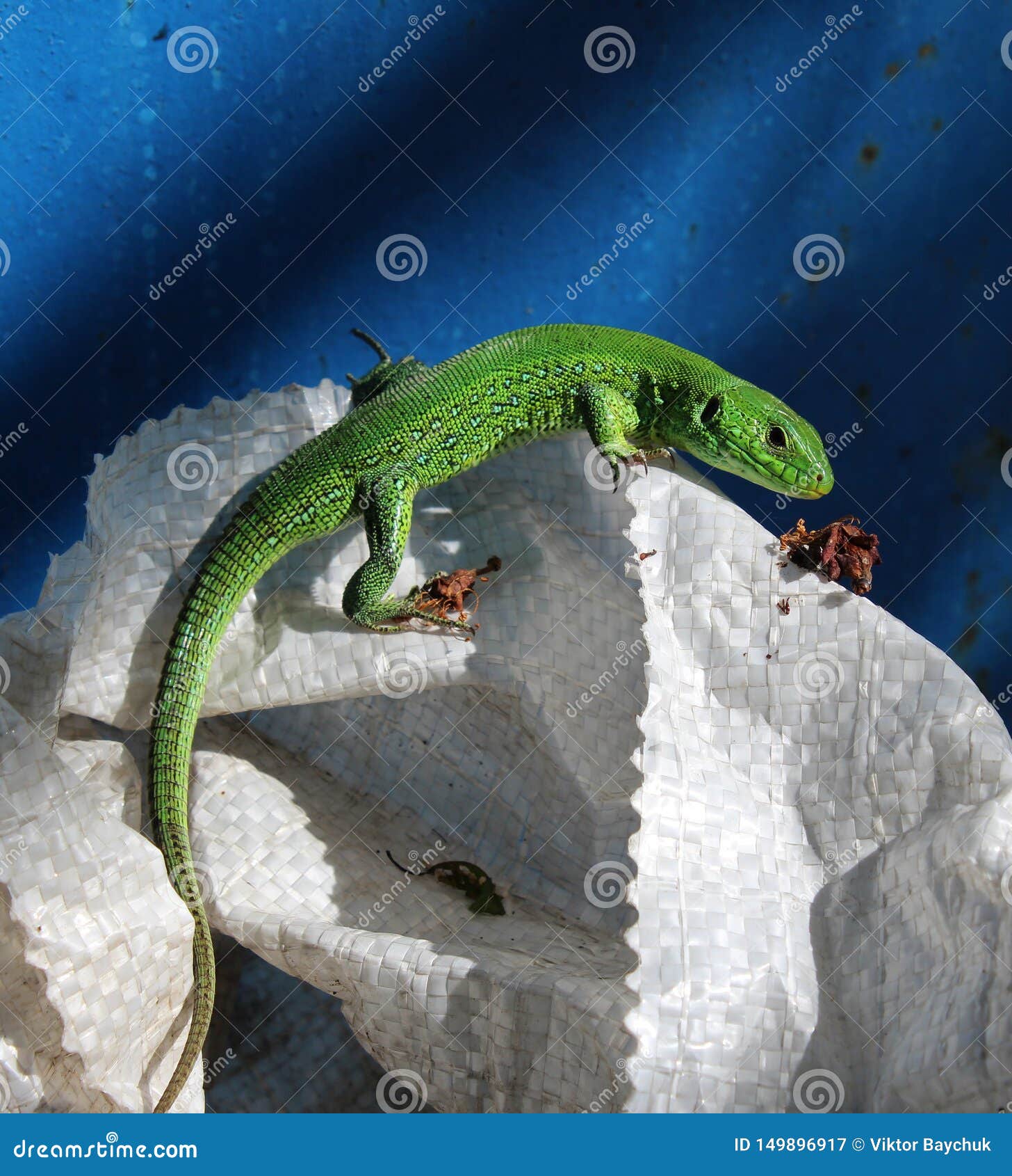 3,971 Cautious Background Photos - Free & Royalty-Free Stock Photos ...