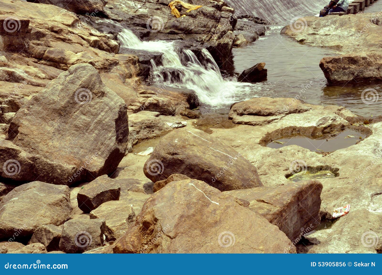 Cauvery stock photo. Image of corn, local, green, store - 53905856