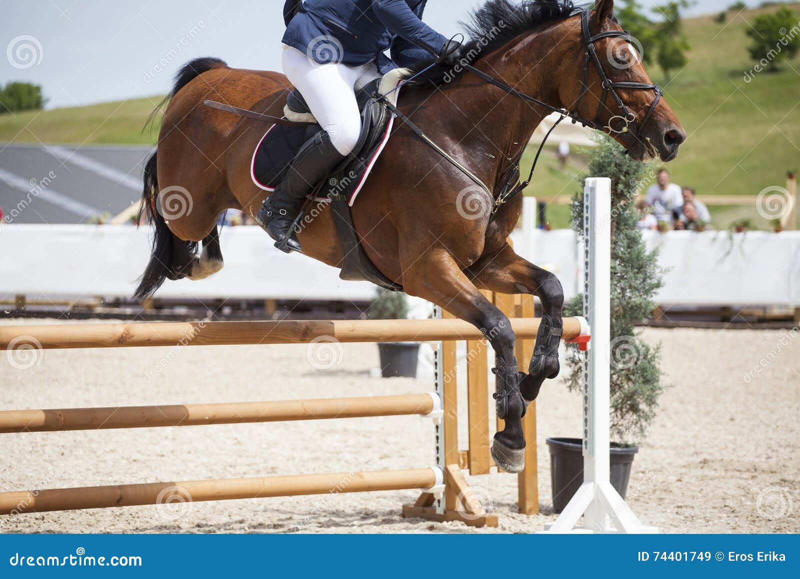 Cavaleiro Em Seu Corcel Na Mostra Equestre Imagem de Stock - Imagem de ...
