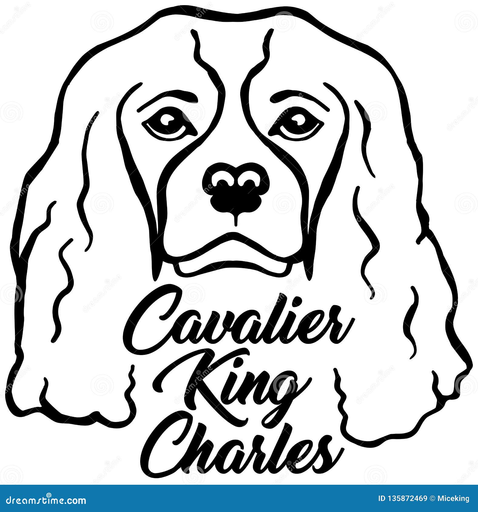 Cavalier King Charles Head with Name Stock Vector - Illustration of ...
