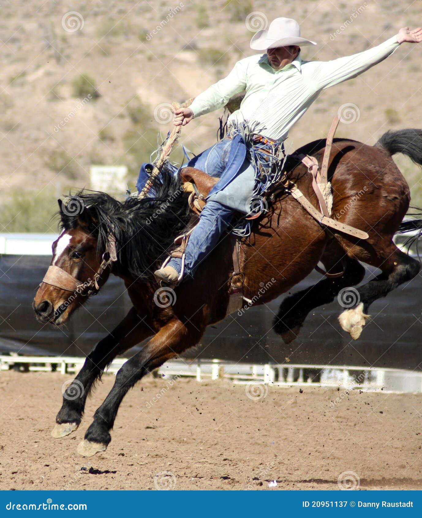 Cavaliere Bucking Di Bronc Del Rodeo Fotografia Editoriale - Immagine ...