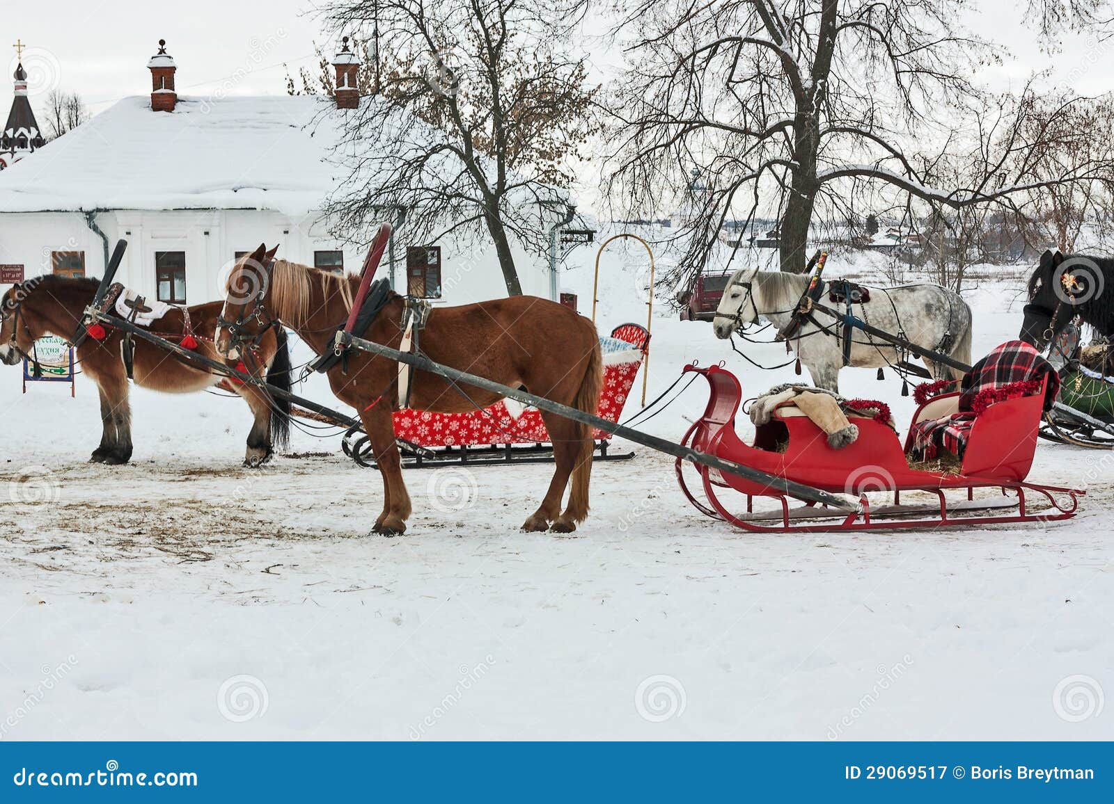 Cavalli Con La Slitta in Suzdal', Russia Immagine Stock - Immagine di ...