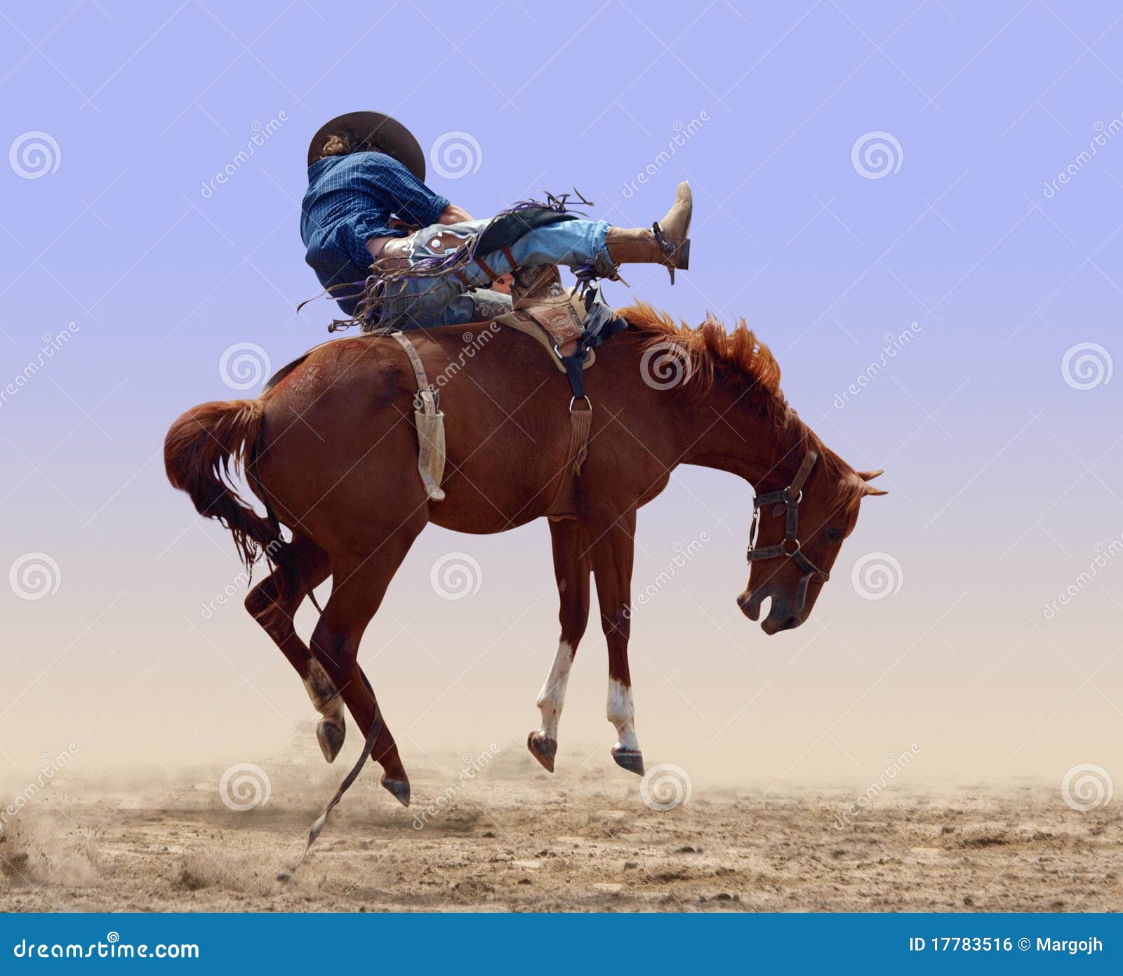 Cavallo Bucking del rodeo fotografia stock. Immagine di polveroso ...