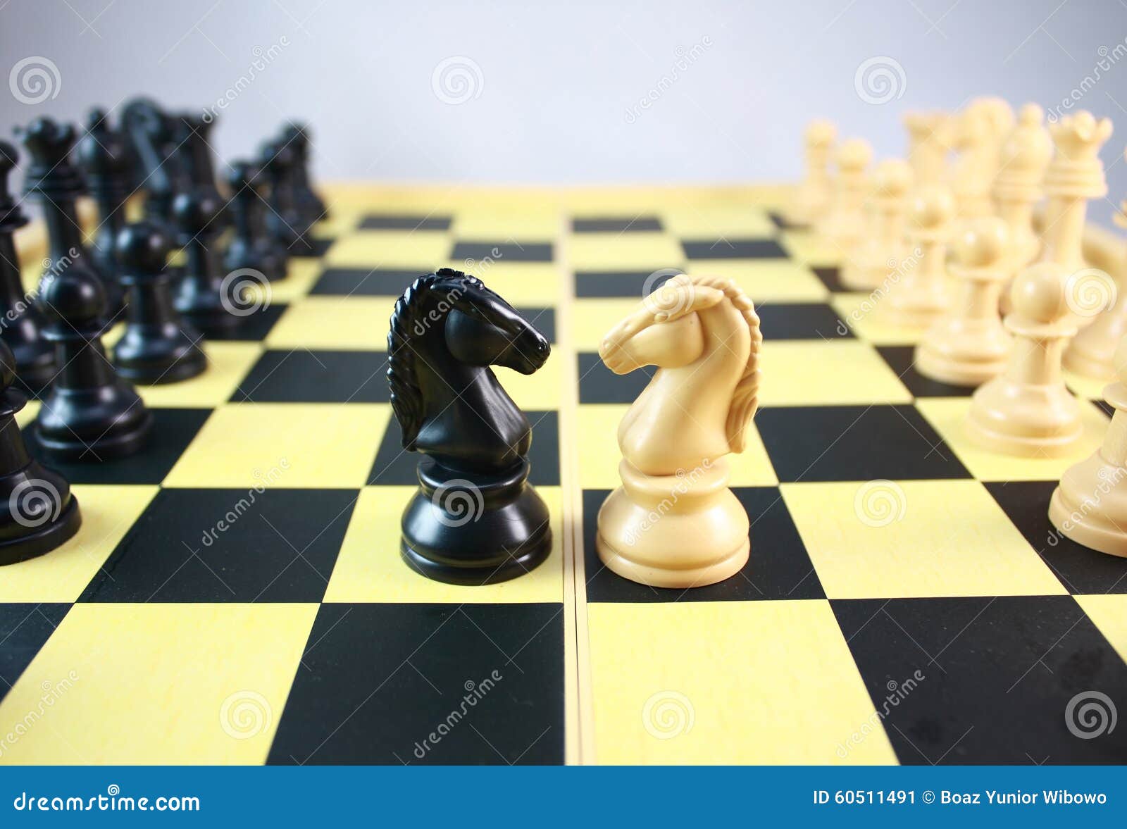 Cavallo di scacchi due immagine stock. Immagine di concorrenza - 60511491