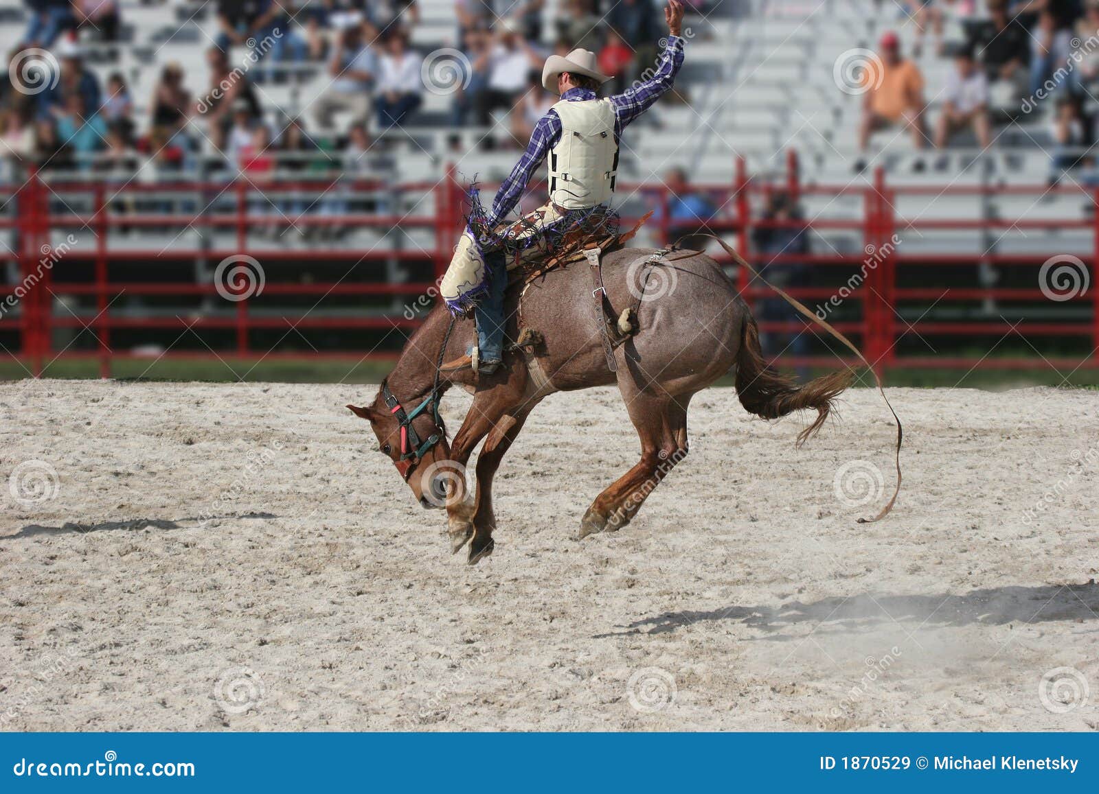 Cavallo e cowboy 2 immagine stock. Immagine di timore - 1870529