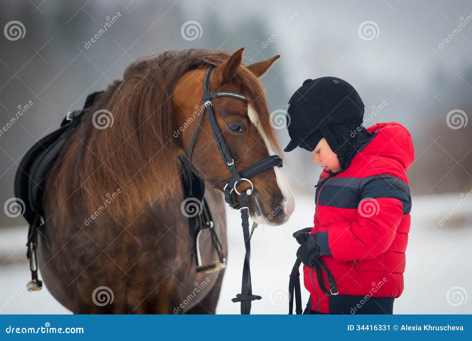 Cavallo E Ragazzo - Bambino Che Guida a Cavallo Immagine Stock ... Cavallo E Ragazzo - Bambino Che Guida a Cavallo Immagine Stock ...