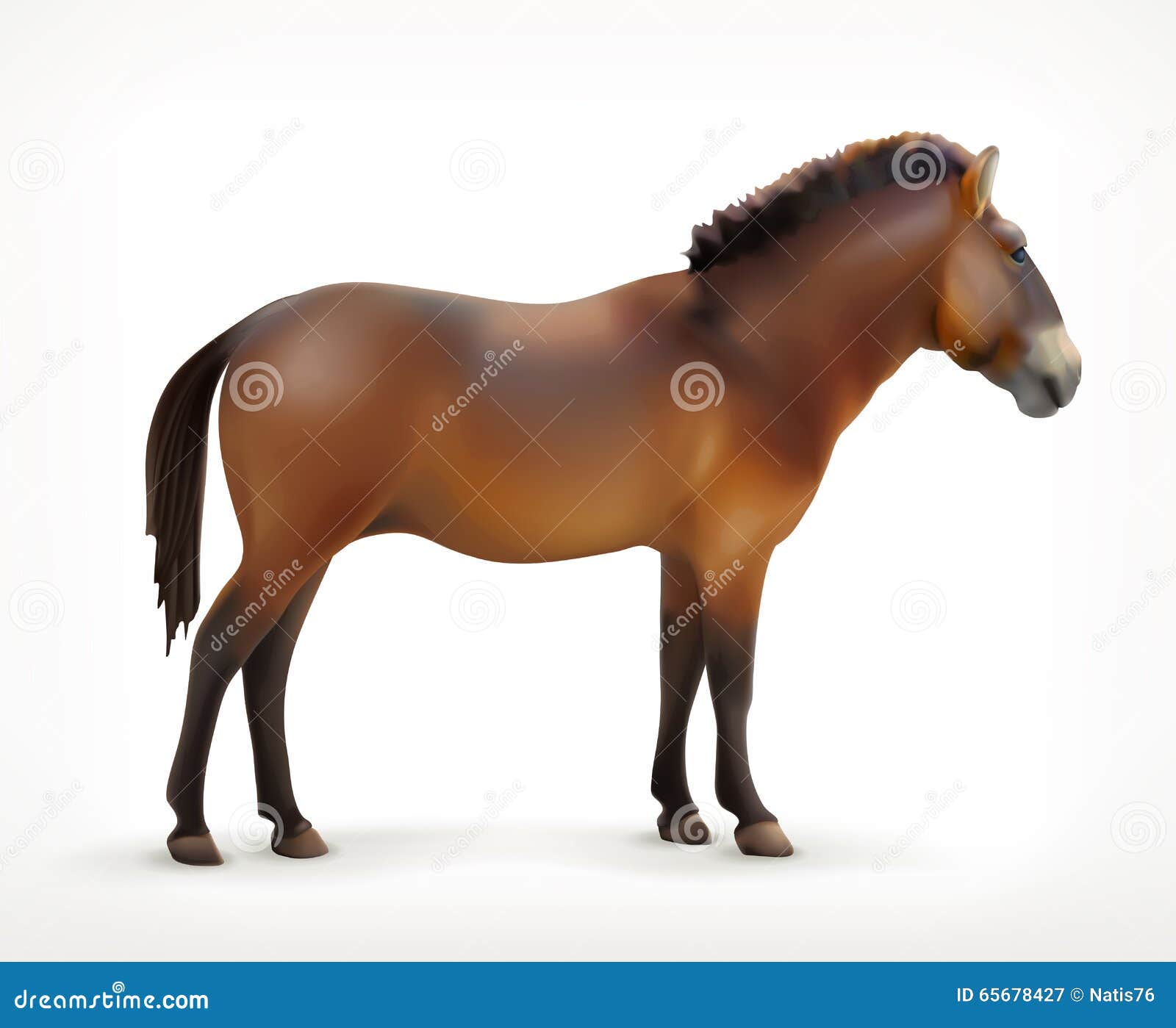 Cavallo, icona di vettore illustrazione vettoriale. Illustrazione di ...