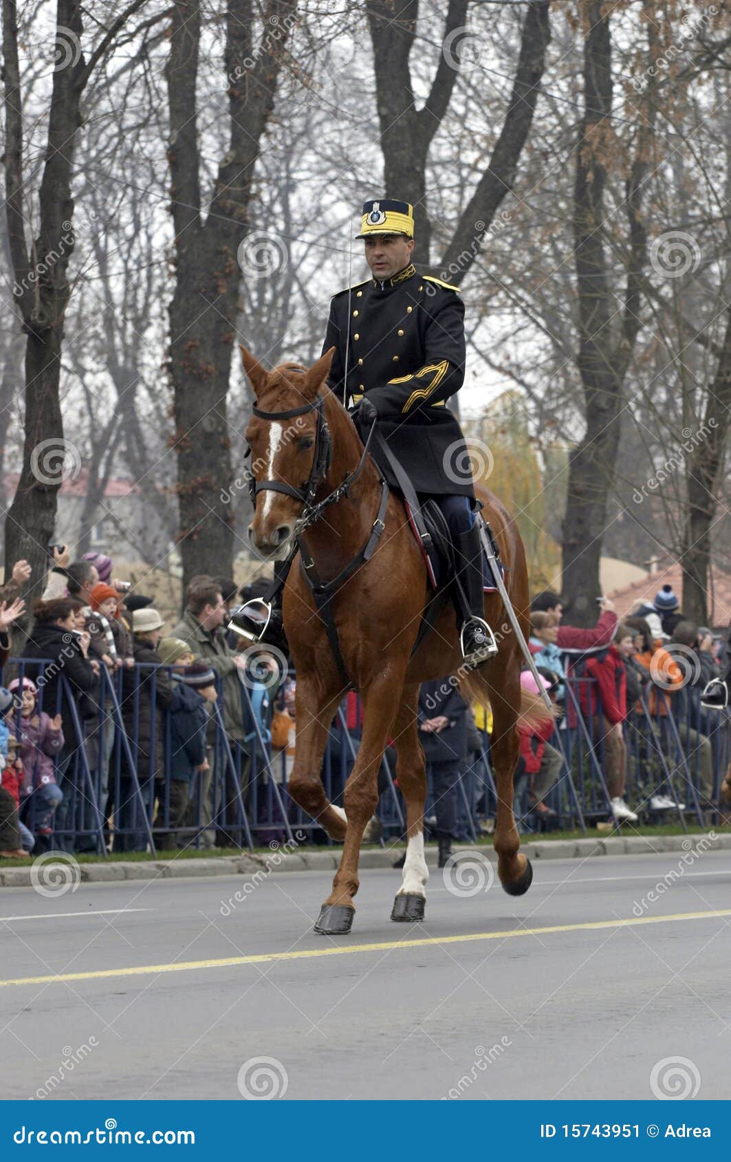 Cavalry Commander in Front of the Cavalry Squad Editorial Photo - Image ...