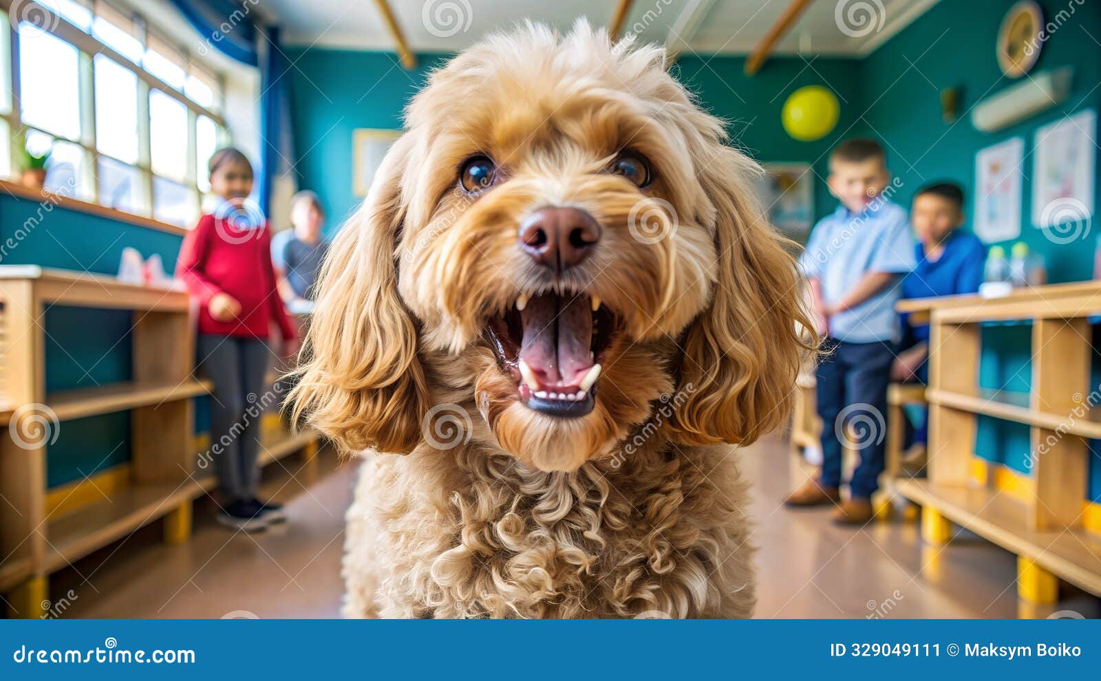 Cavapoo dog angry school stock illustration. Illustration of element ...