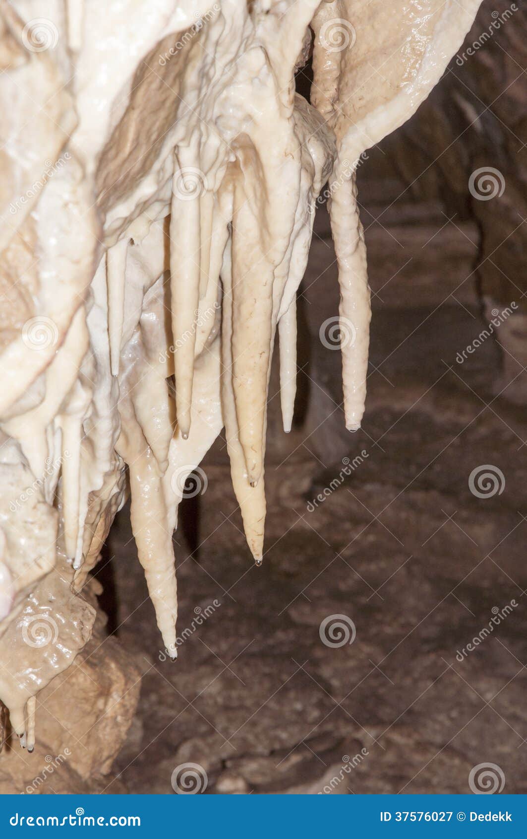 Cave of Bear stock image. Image of speleological, arid - 37576027