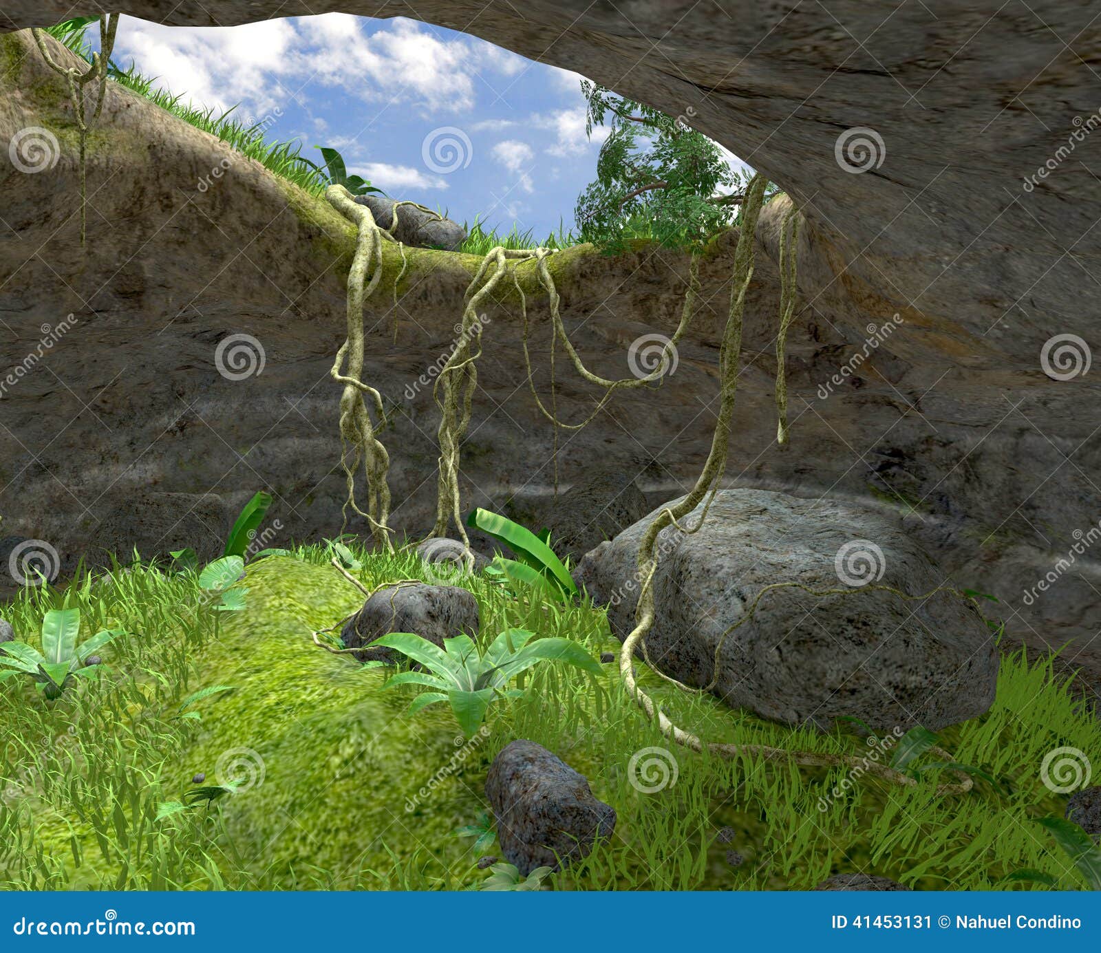 The Cave stock image. Image of landscape, fern, dark - 41453131