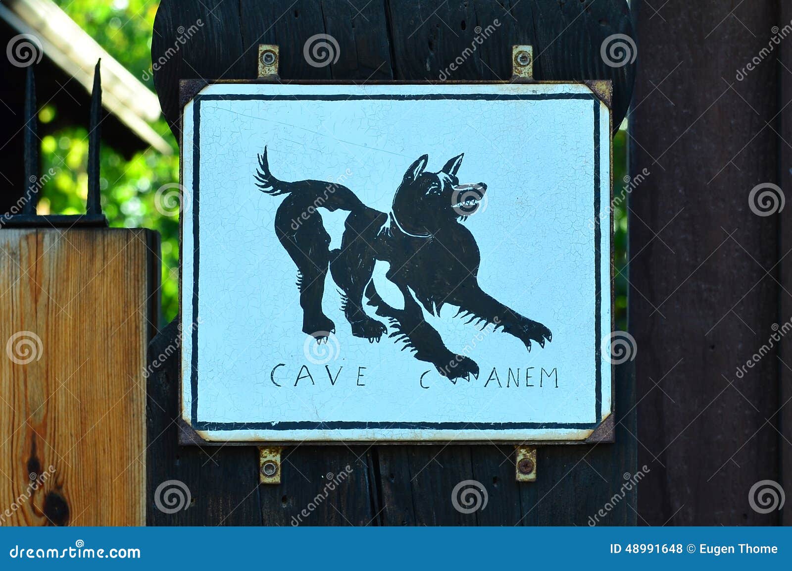 Cave Canem Stock Images - Download 11 Royalty Free Photos