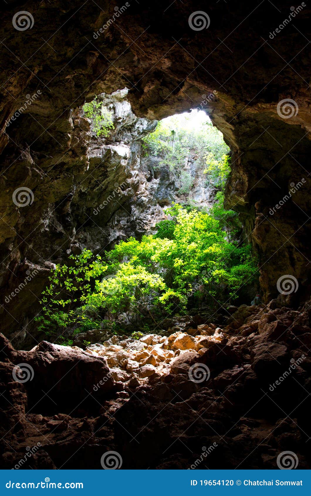 Cave covered with trees. stock photo. Image of ecology - 19654120