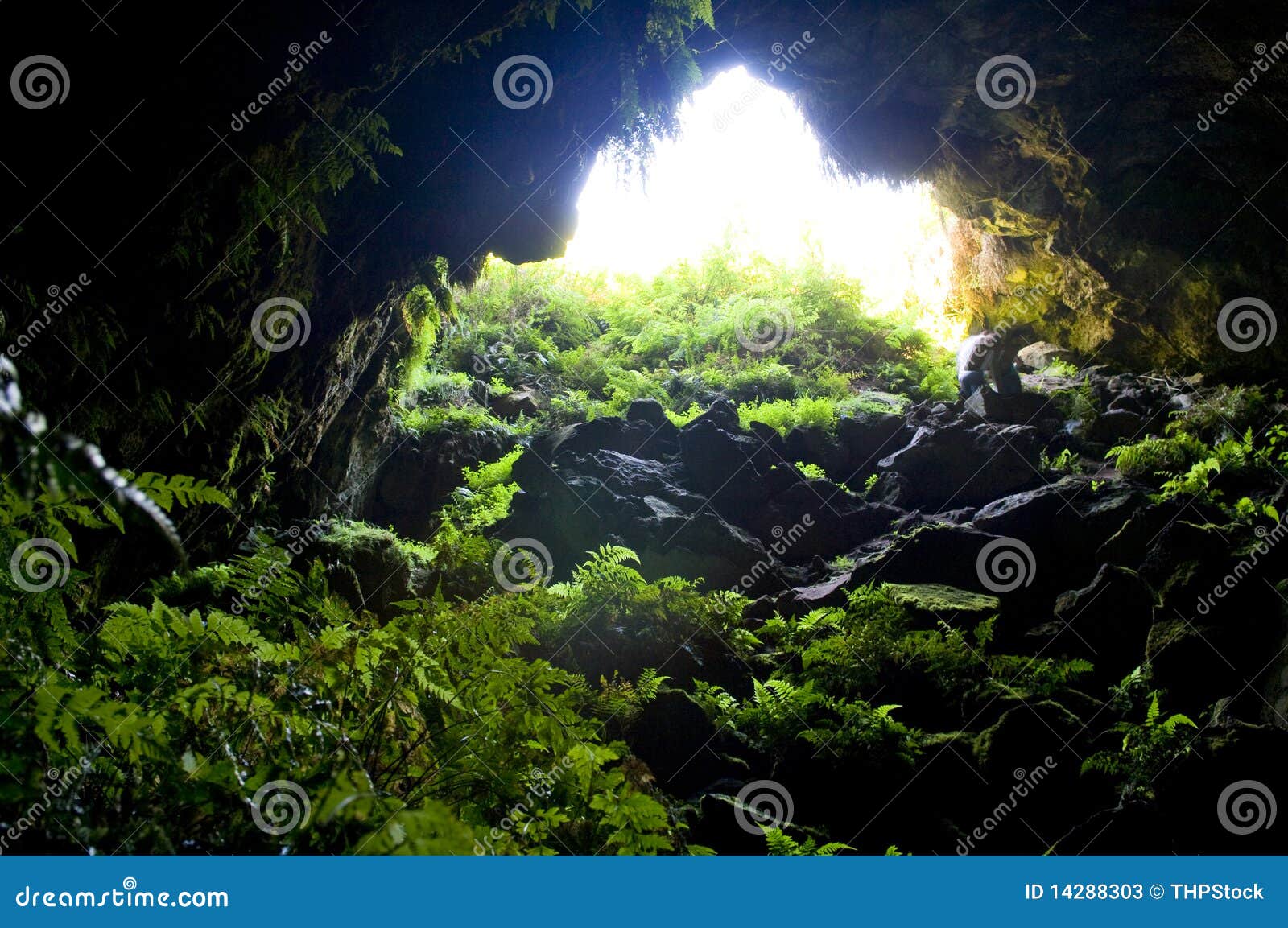 Cave Entrance stock image. Image of jungle, dark, dense - 14288303