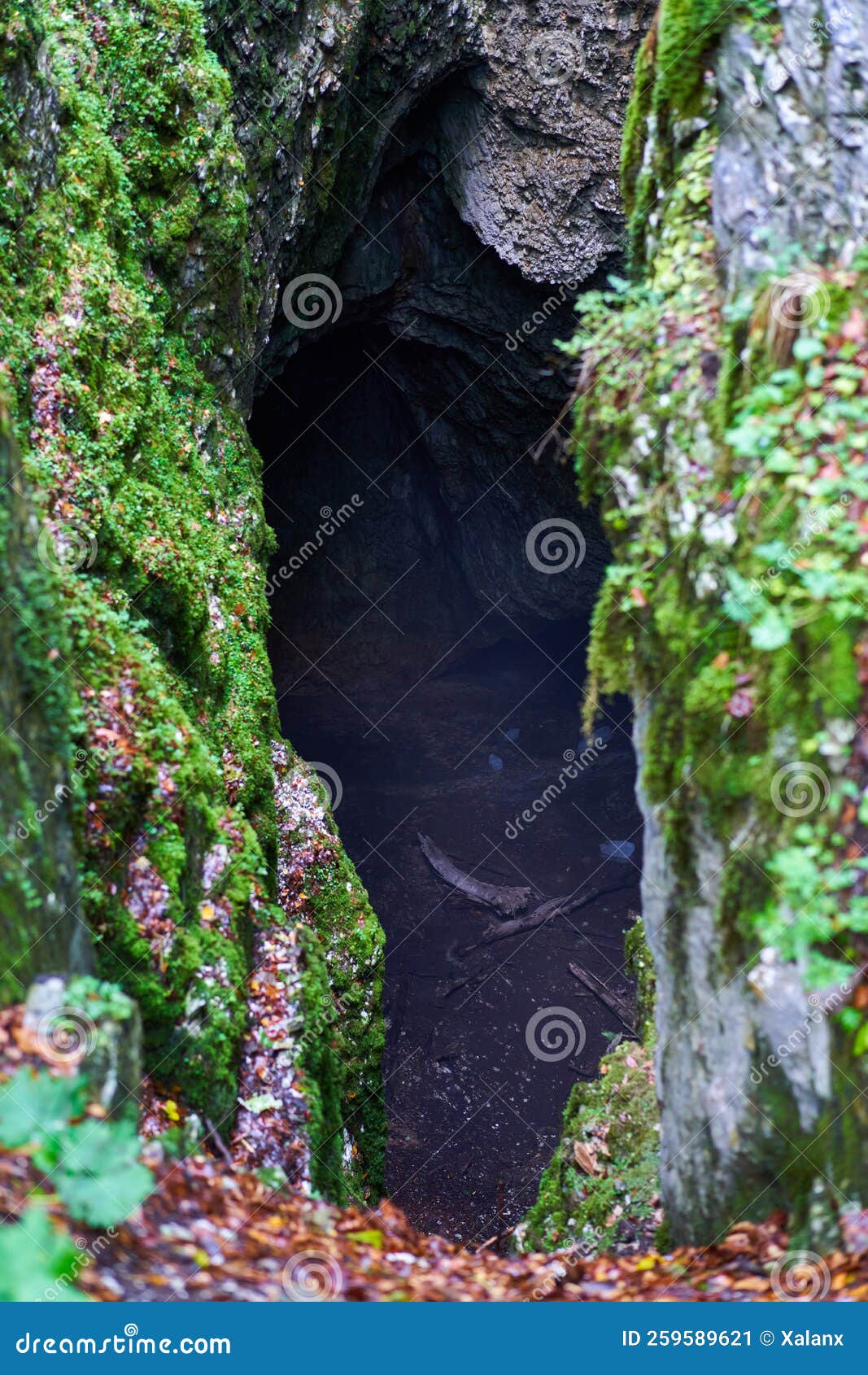 Cave Entrance in the Forest Stock Image - Image of mysterious, fossil ...
