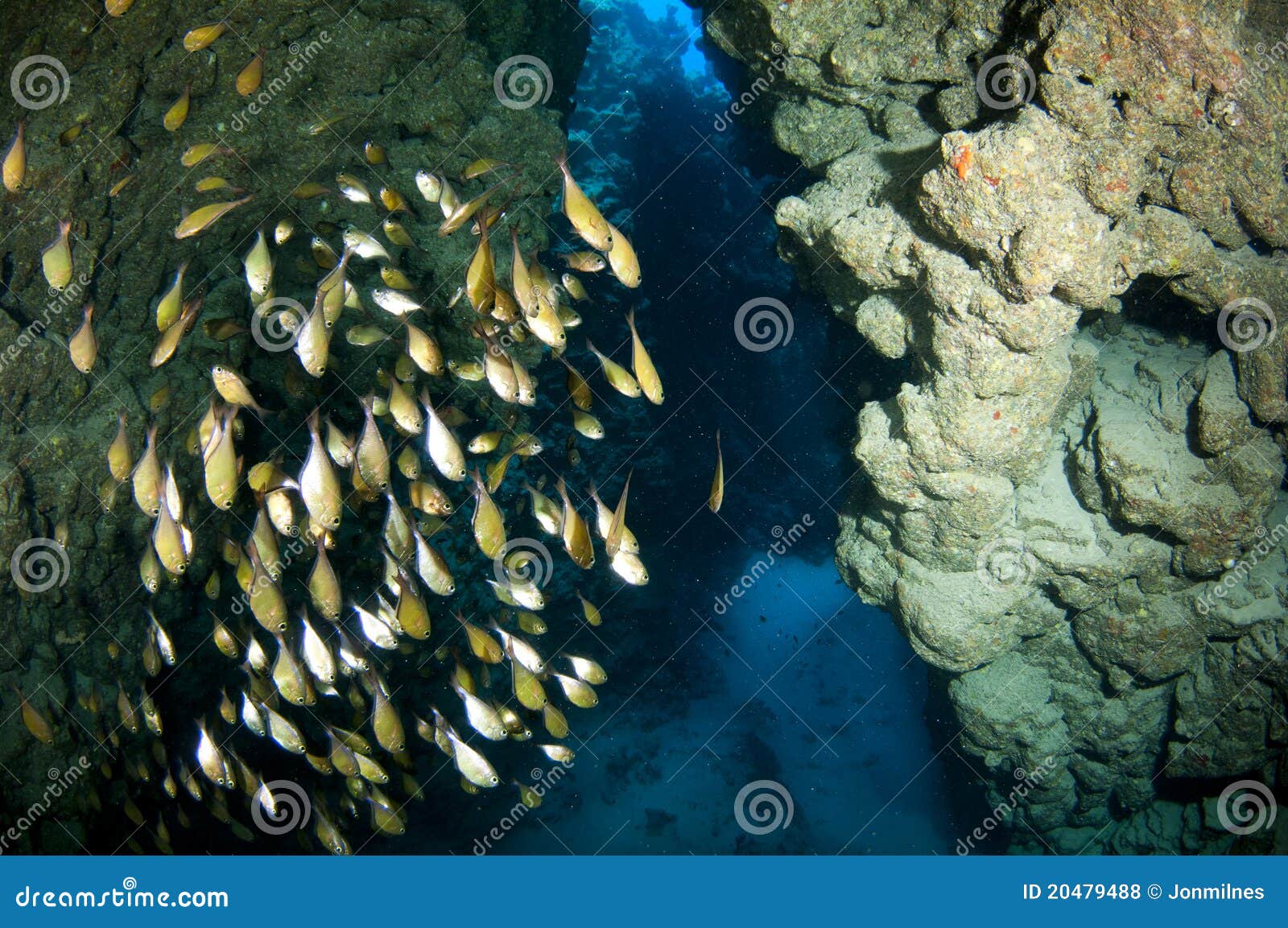 Cave and fish stock photo. Image of destinations, dive - 20479488