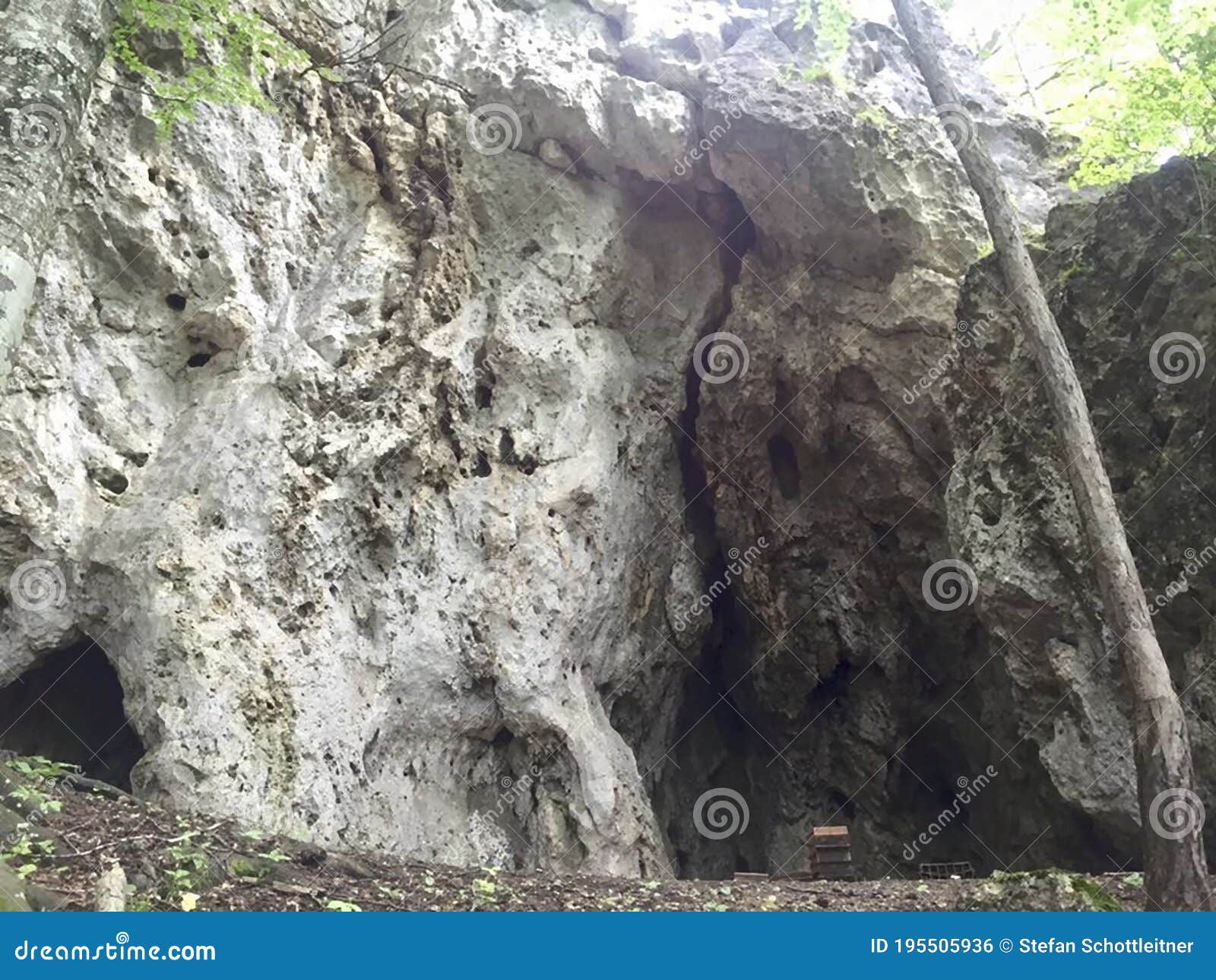 A Cave in the Forest Under the Mountain Stock Photo - Image of ...
