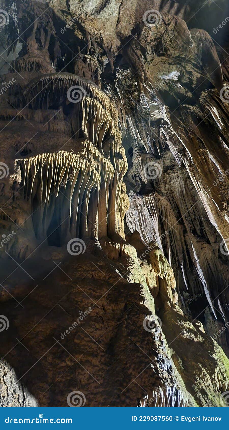 Cave formation quail night stock photo. Image of quail - 229087560