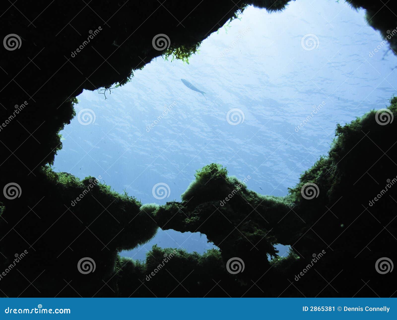 Cave Hole stock image. Image of rocky, clear, algae, water - 2865381