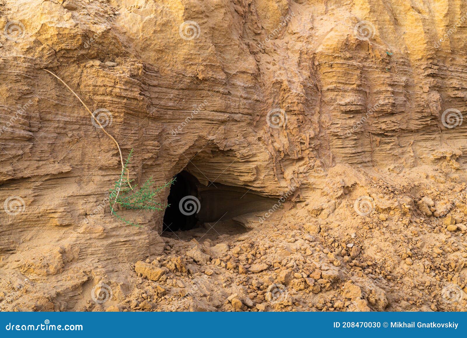 Cave, Hole or Burrow in the Sand Ground Stock Photo - Image of wildlife ...