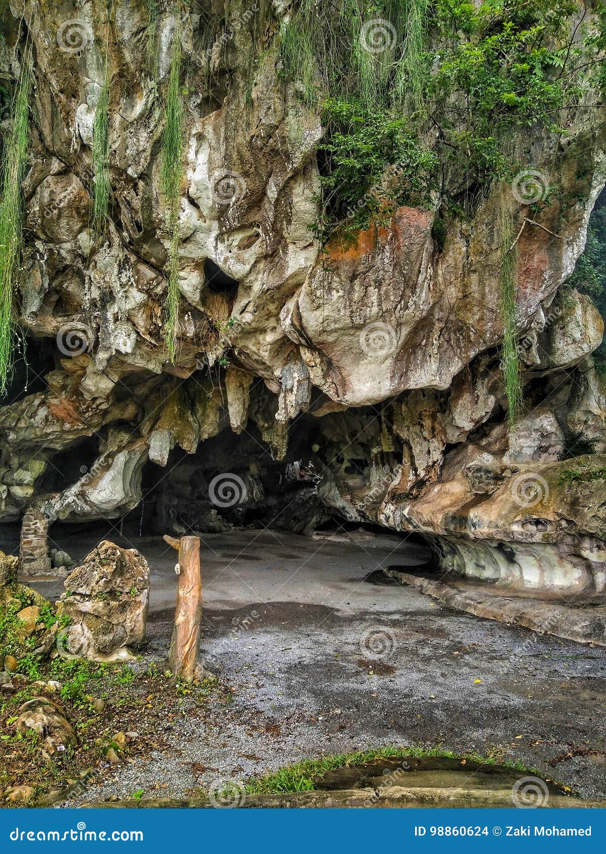 Buffalo Cave in Jitra, Kedah, Malaysia Stock Photo - Image of ...