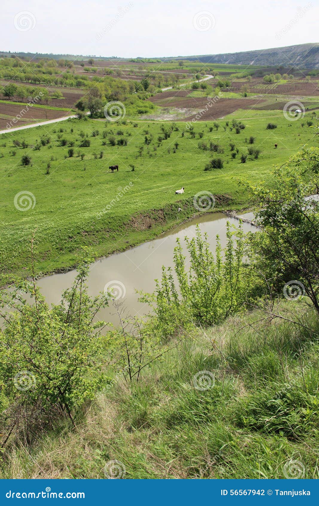 Cave Monastery in Moldova, Orheiul Vechi Stock Photo - Image of houses ...